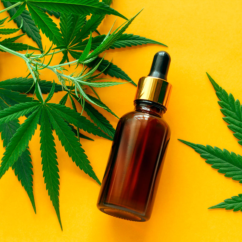 DSM intensifies cannabinoid presence with Brains Bioceutical collab for ...